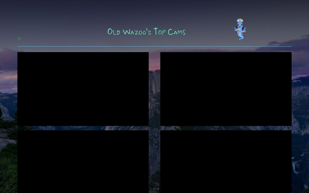 Old Wazoo's Top Cams